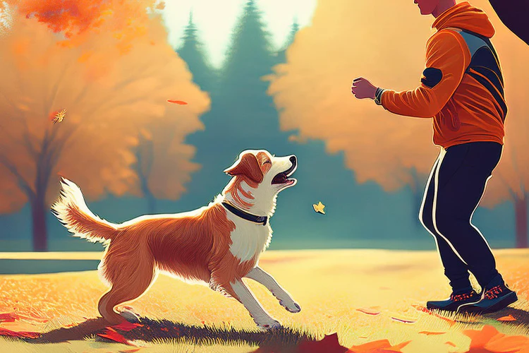 7 Essential Body Language Cues for Effective Dog Training